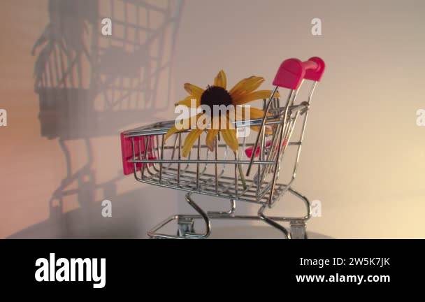 Spring cart Stock Videos & Footage - HD and 4K Video Clips - Alamy
