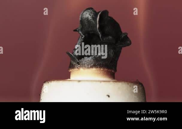 Pharaoh Snake. A Chemical Experiment of Heating Calcium Gluconate on ...