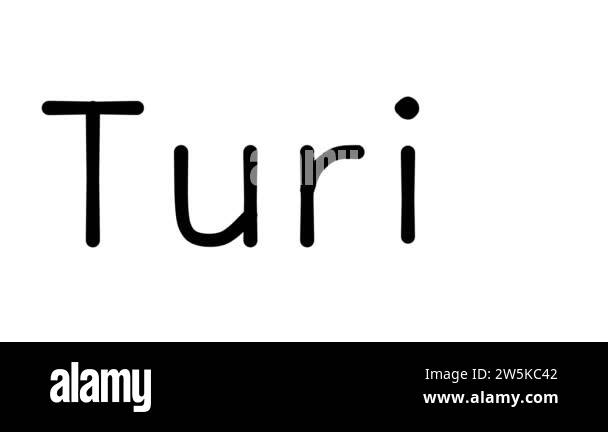 Turin Handwritten Text Animation in Various Sans-Serif Fonts and ...
