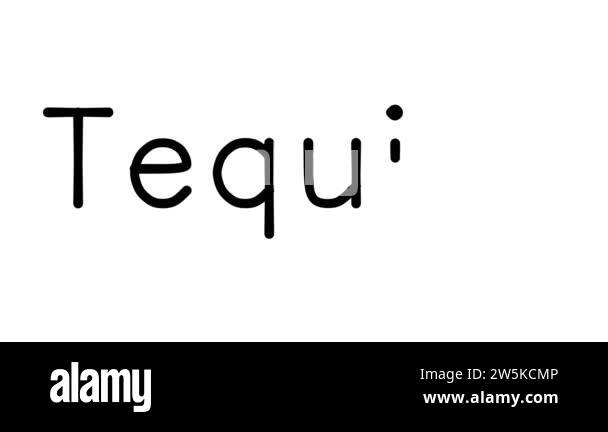 Tequila Handwritten Text Animation in Various Sans-Serif Fonts and ...
