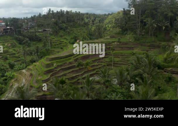 Irrigated terrace Stock Videos & Footage - HD and 4K Video Clips - Alamy