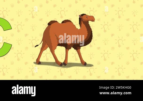 Alphabet camel camel Stock Videos & Footage - HD and 4K Video Clips - Alamy