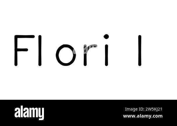 Florida Handwritten Text Animation in Various Sans-Serif Fonts and ...