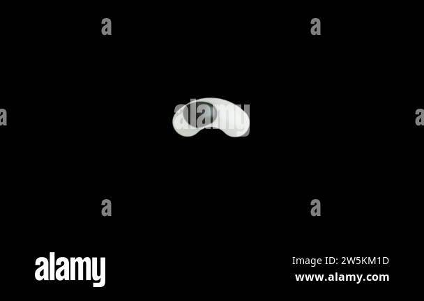 Funny Animation Eyes Balls Reactions - Cartoon Eyes Animation on black ...