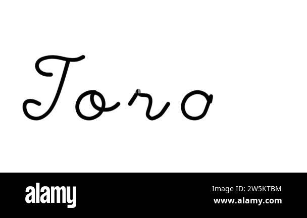 Torah Decorative Handwriting Animation in Six Cursive and Gothic Fonts ...
