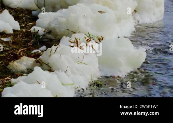 Sea foam forming on the beach, strong sticky spume substance made from ...