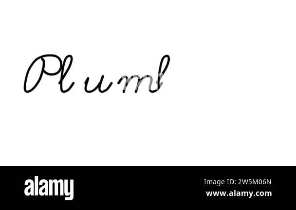 Plumbing Decorative Handwriting Animation in Six Cursive and Gothic ...