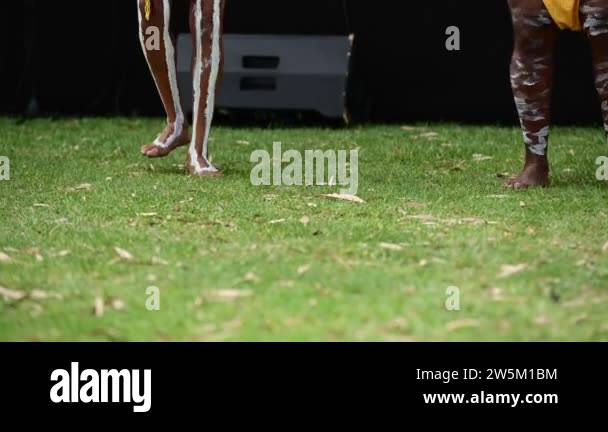 Legs of Aboriginal Australian men during a traditional Aboriginal ...