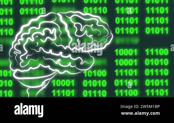 digital computer green binary matrix code and a schematic human brain picture Artificial ...