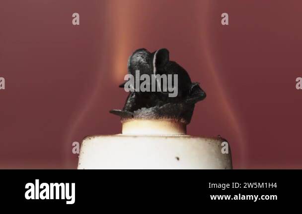 Pharaoh Snake. A Chemical Experiment of Heating Calcium Gluconate on ...