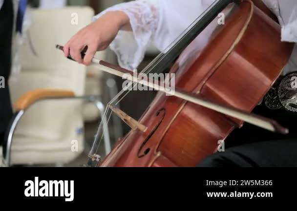 Big cello Stock Videos & Footage - HD and 4K Video Clips - Alamy