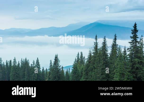 White clouds move slowly along autumn mountain forest at hill during ...