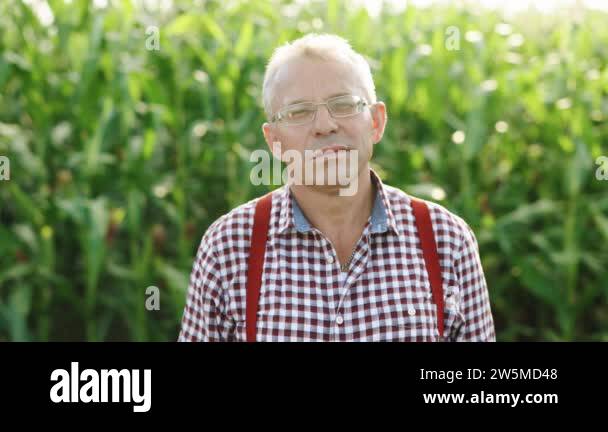 Agriculture farmer face portrait in field at harvest. Agribusiness ...