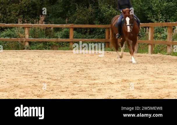 Jockey action Stock Videos & Footage - HD and 4K Video Clips - Alamy