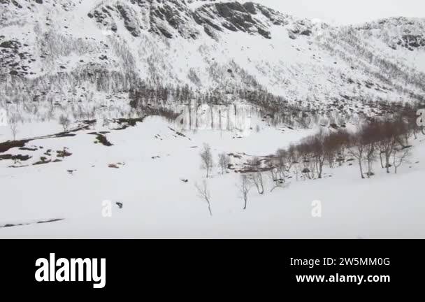 Arctic sea bus Stock Videos & Footage - HD and 4K Video Clips - Alamy