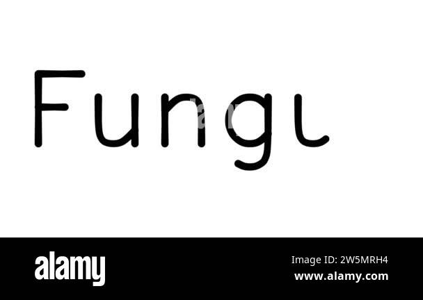 Fungus Handwritten Text Animation in Various Sans-Serif Fonts and ...