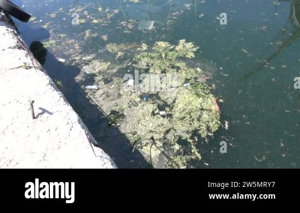 Junk and garbage floating In sea at port. Water pollution Stock Video ...