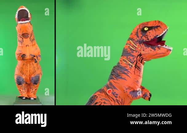 Tyrannosaurus rex laughing Stock Videos & Footage - HD and 4K Video ...