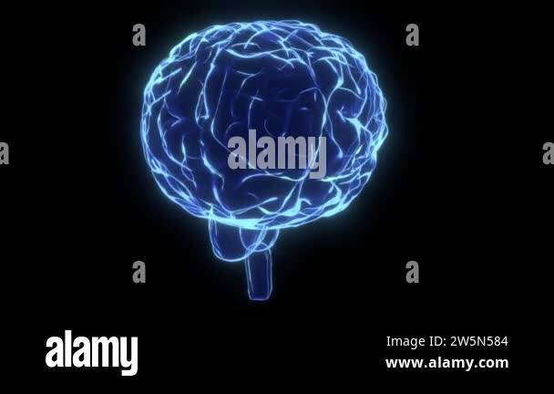 Rotating human brain hologram - thinking process concept - 3D 4k ...