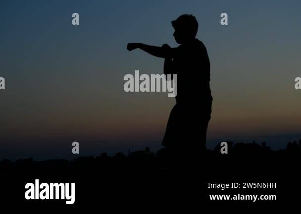 Man punching silhouette Stock Videos & Footage - HD and 4K Video Clips ...