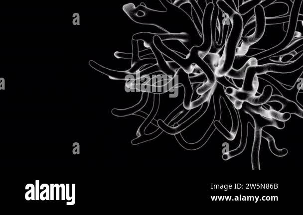 Coronavirus micrograph Stock Videos & Footage - HD and 4K Video Clips - Alamy