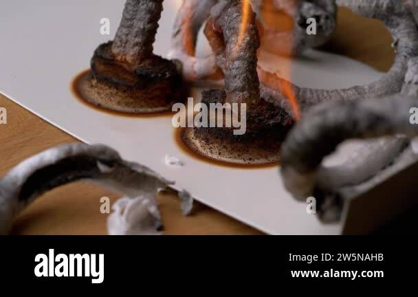 Pharaoh Snakes, Chemical Experiment with Calcium Gluconate Tablets, Dry ...