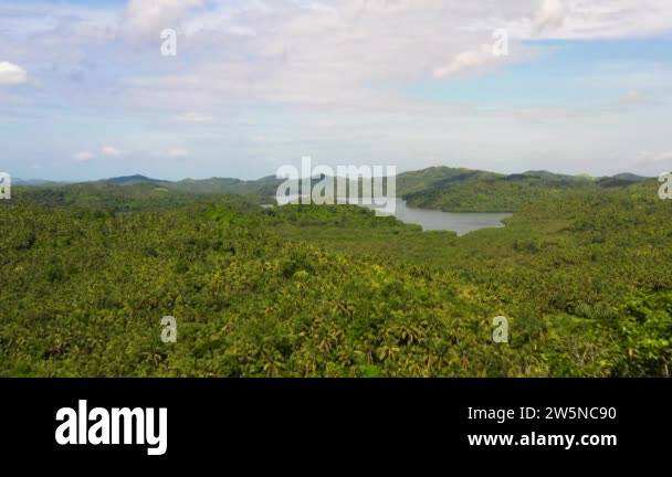 Hills with rainforest and sea lakes, top view. The nature of the ...