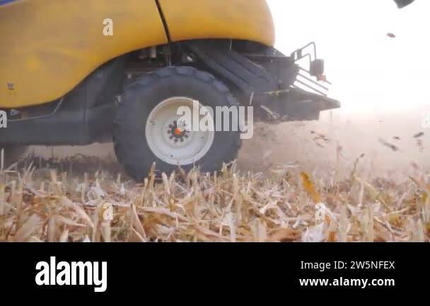 Close up big rotating wheel of combine working on corn field or farm ...