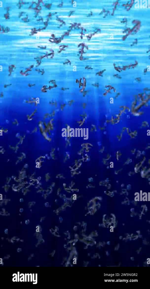 Flying many anchors in blue water. Ship and boat anchor. Marine icon ...