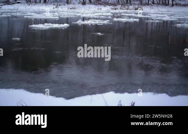Melting ice flowing on water surface. Ice drift on the river. Global ...