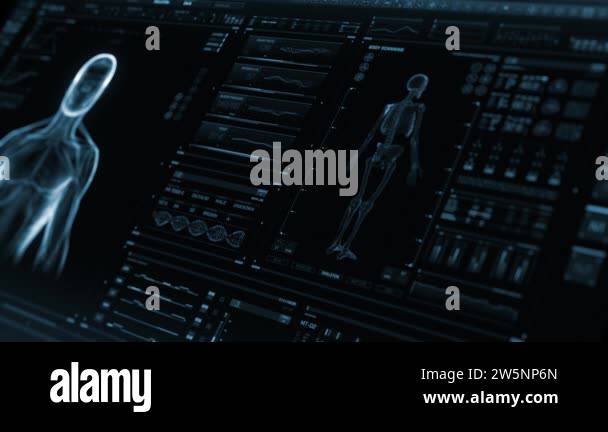 Holographic perspective interface analyzing human brain anatomy and ...