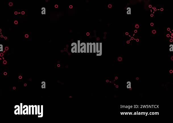 Cells under microscope on black background. Animation. Simple animation of cells in chains on ...
