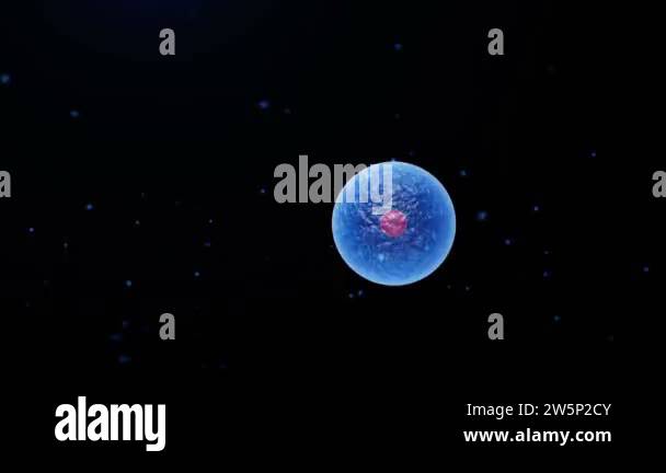 Cell nucleus hi Stock Videos & Footage - HD and 4K Video Clips - Alamy