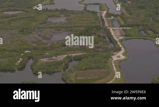 Merritt island nature reserve Stock Videos & Footage - HD and 4K Video ...