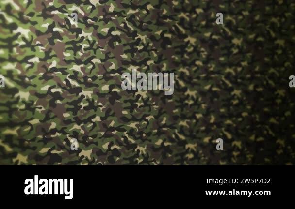 Green camouflage pattern background. Military uniform concept. Abstract ...
