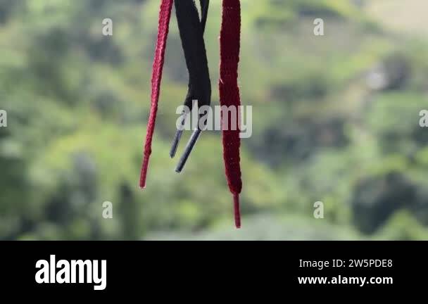 Hanging by shoe laces Stock Videos & Footage - HD and 4K Video Clips ...
