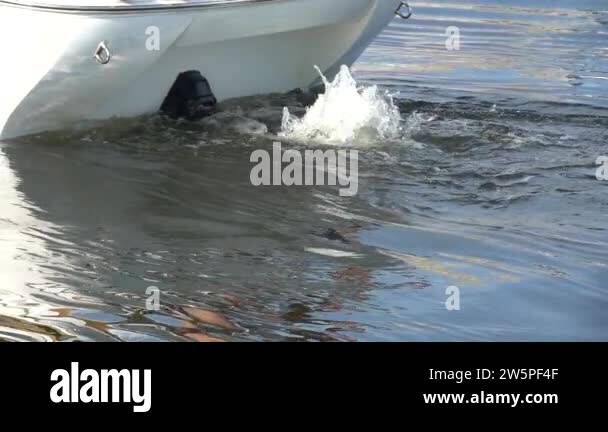 Speed boat engine Stock Videos & Footage - HD and 4K Video Clips - Alamy