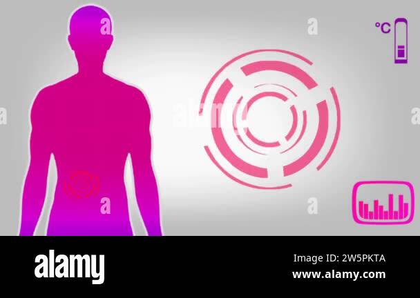 Appendix Stock Videos & Footage - HD and 4K Video Clips - Alamy