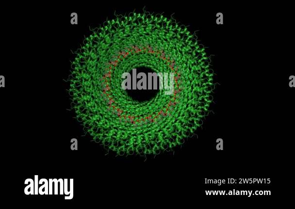 High-resolution structure of tobacco mosaic virus, animated 3D cartoon ...