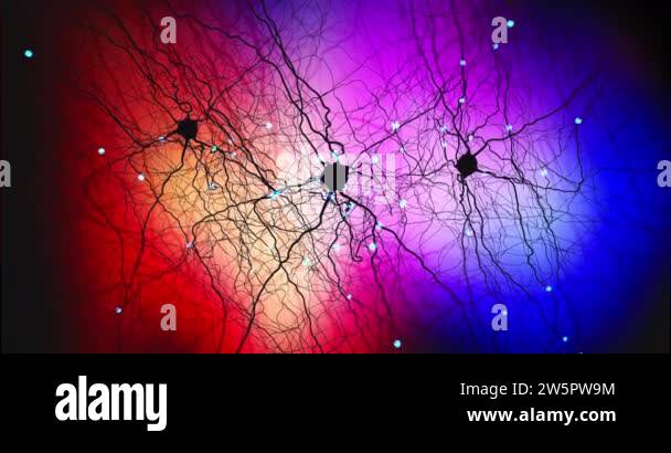 Illustration brain nerve cell Stock Videos & Footage - HD and 4K Video ...