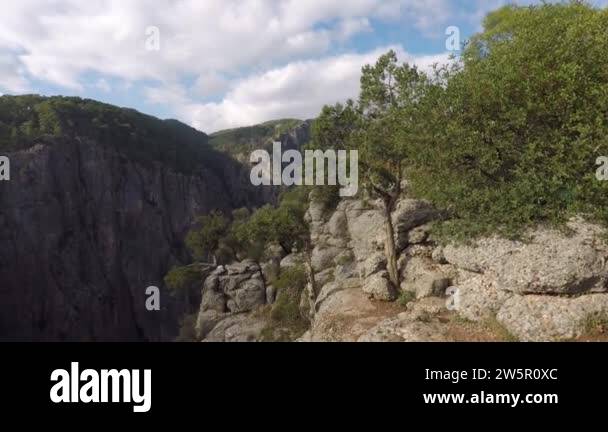Forest canyon Stock Videos & Footage - HD and 4K Video Clips - Alamy