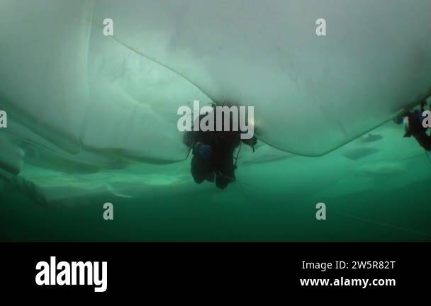 Diving into cold water Stock Videos & Footage - HD and 4K Video Clips ...
