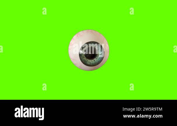 Funny Animation Eyes Balls Reactions - Cartoon Eyes Animation on Green ...