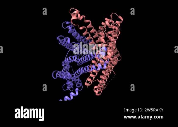 Structure of the human transmembrane protein 175 (TMEM175), an ...
