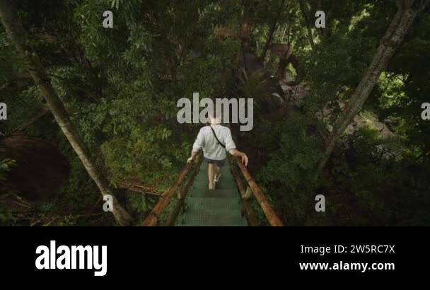 Tropical rainforest observation Stock Videos & Footage - HD and 4K ...