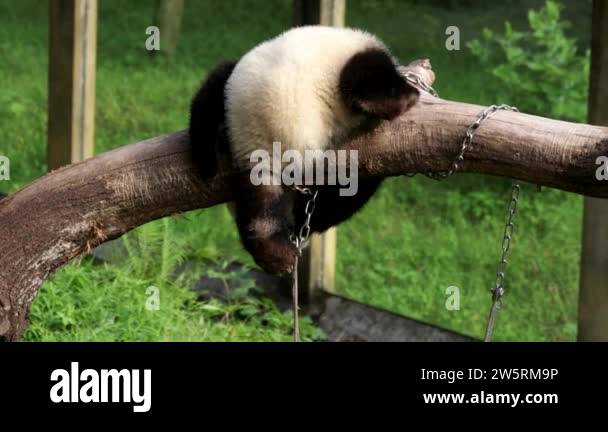 Happy beam Stock Videos & Footage - HD and 4K Video Clips - Alamy