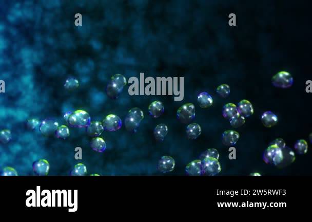 Flying many soap bubbles. Realistic water sphere with rainbow colors ...