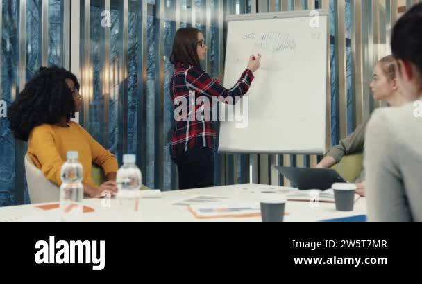 Young beautiful graduate student explains to multinational group of ...