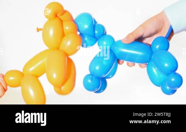 balloon dogs in young human hands white background Stock Video Footage ...