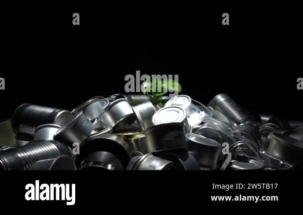 Green growing plant in soil full of tin aluminum dirt trash ...